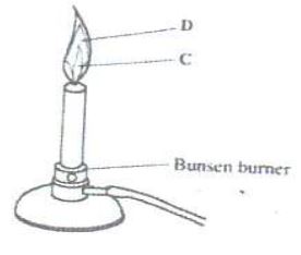 The diagram below shows a Bunsen burner when in use. Name the regions ...